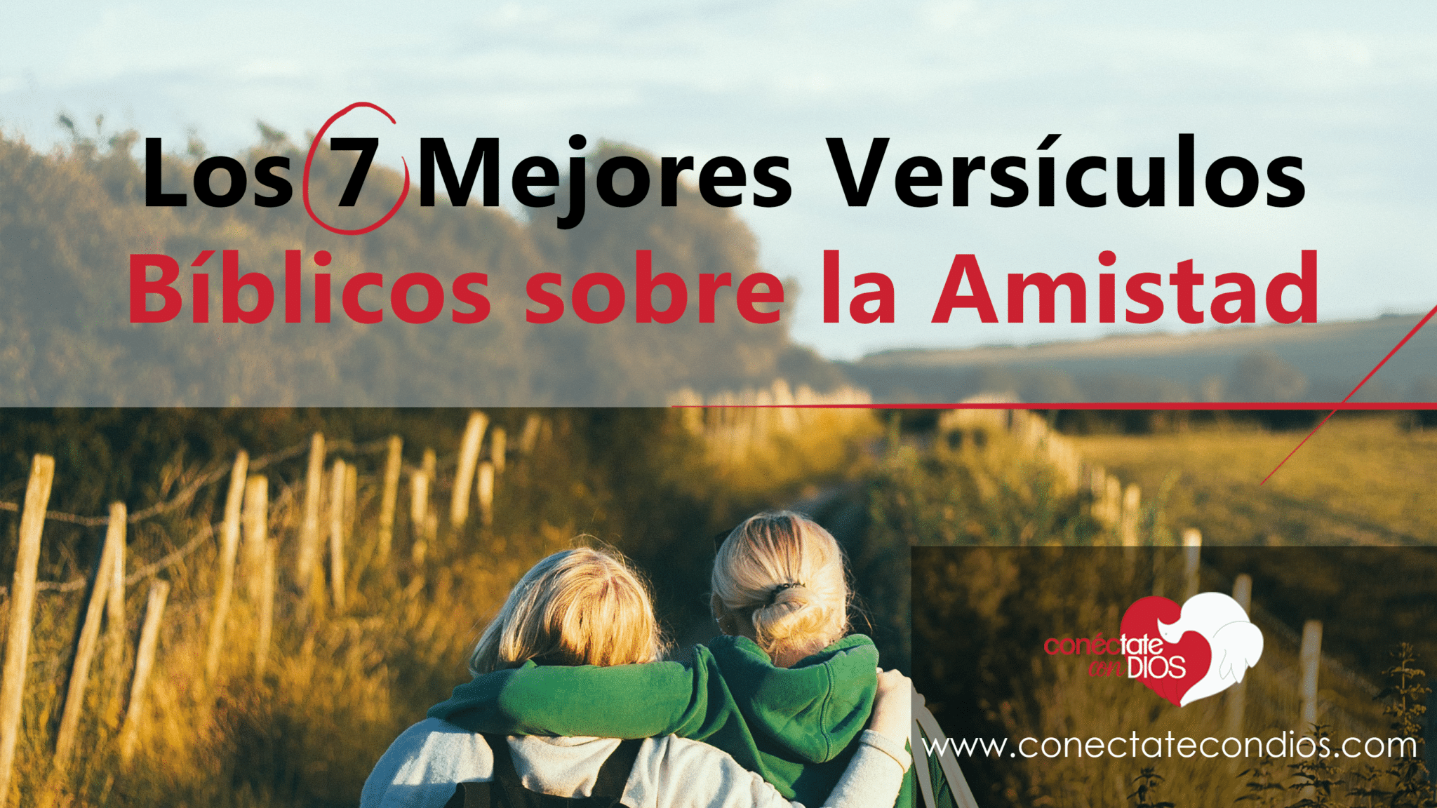 50 Versículos Bíblicos y su Reflexión - Conéctate Con Dios